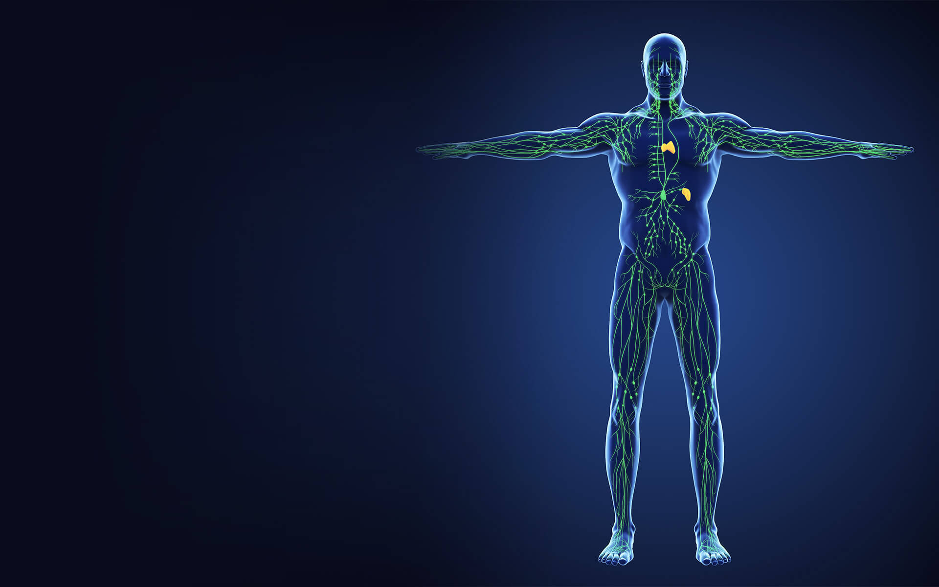 Lymphedema Therapy & Management in NY NJ & PA | IFAR