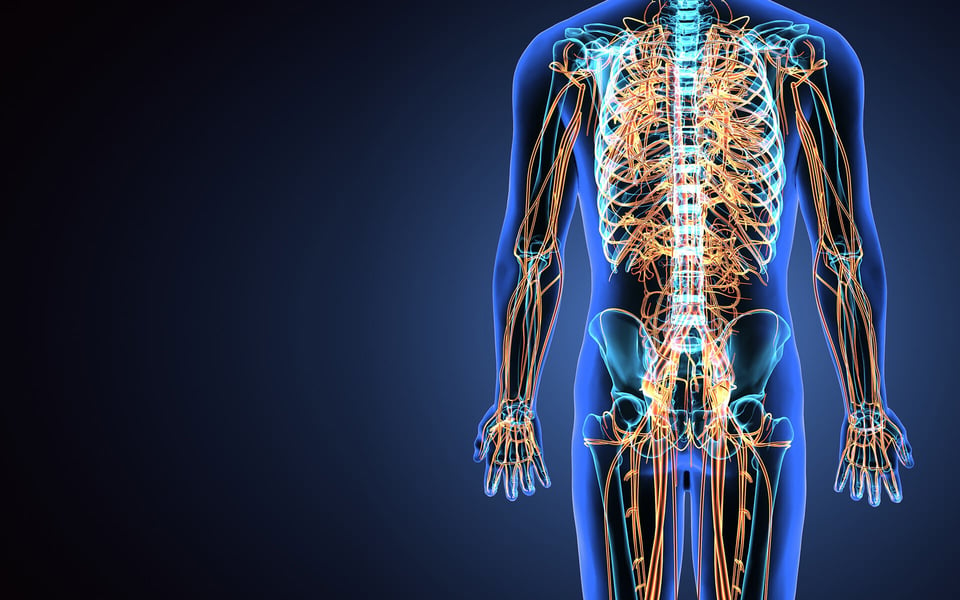 Lower Extremity Surgery & Procedures | The Institute for Advanced ...
