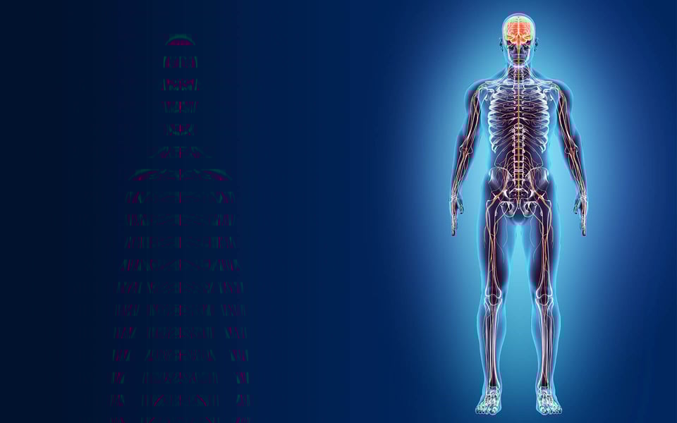 Understanding the 3 Types of Neuropathy: Symptoms & Causes | IFAR