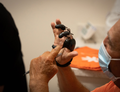 Types of Conditions and Injuries | Center for Hand & Upper Extremity